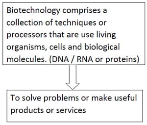 Biotechnology Definitions, Applications in Medicine, Uses