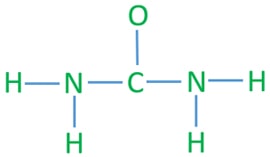 skech of urea molecule
