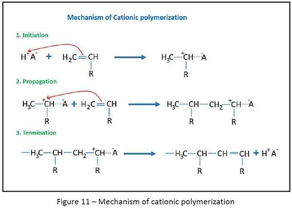 Addition Polymerization