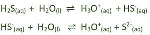 Hydrogen Sulfide (H2S) Reactions